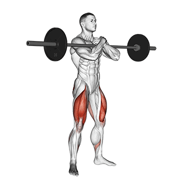 Barbell Sumo Squat Exercise: Complete Guide to Wide-Stance Lower Body Power