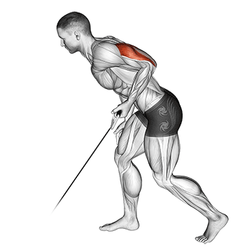 Cable Tricep Kickback: The Ultimate Exercise for Defined Arms