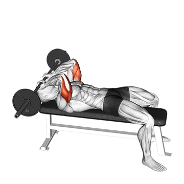Lying Barbell Triceps Extension: Your Ultimate Guide to Sculpted Arms