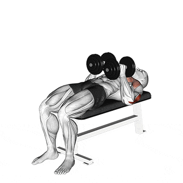 Bench Press: Mastering the King of Chest Exercises [2025]