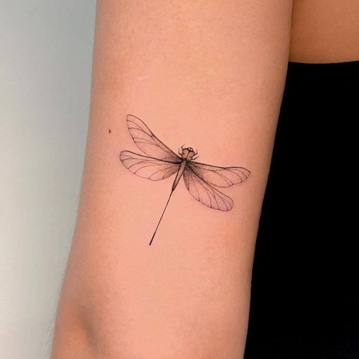 43 Ideais de Tatuagem de Libélula: Significados, Designs e Inspirações