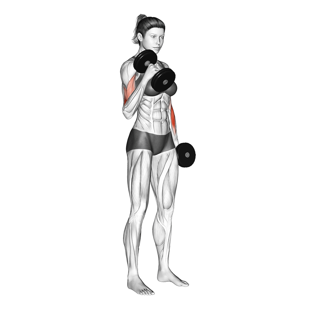 Best Arm Workout for Women: Sculpt and Strengthen