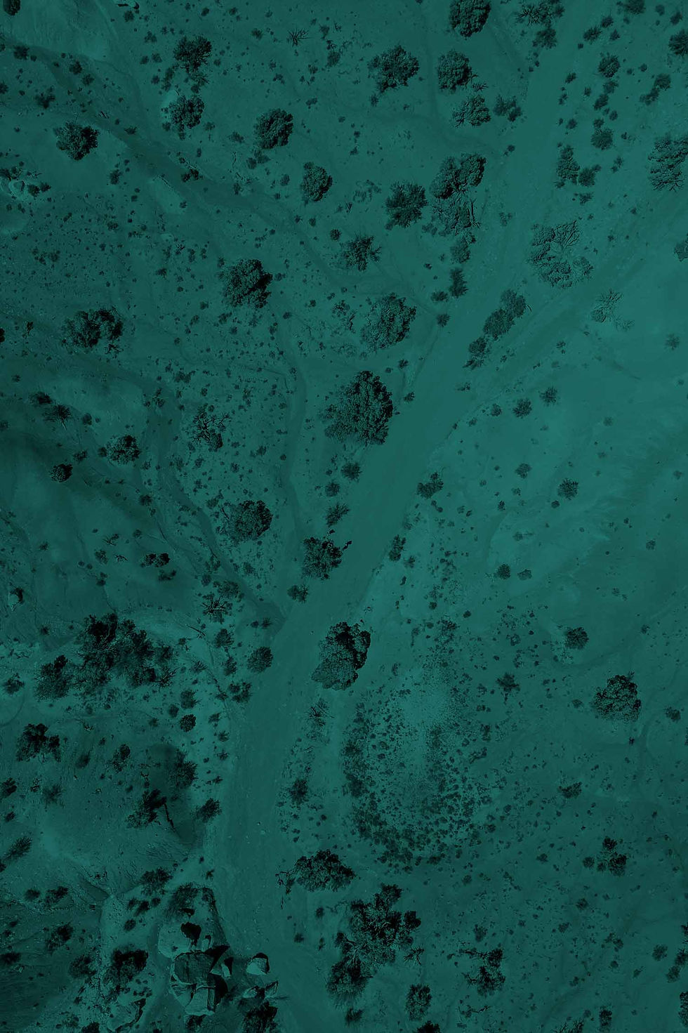 Razorback Community | Magnetite Mines