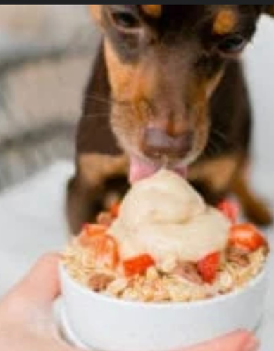 Pup Cone | Center Cut Deli sand