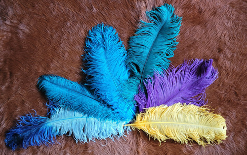 Ceremony Plume Scribing Feathers Assorted Colors | Mystikal Scents