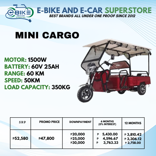 MINI CARGO | EBIKE AND ECAR SUPERSTORE