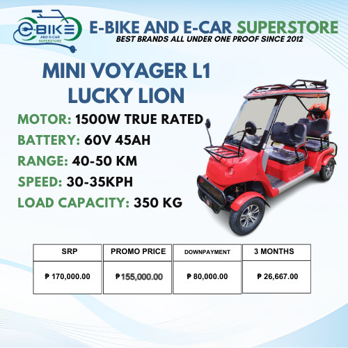 MINI VOYAGER L1 LUCKY LION | EBIKE AND ECAR SUPERSTORE