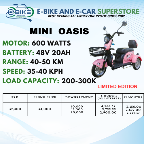 MINI OASIS | EBIKE AND ECAR SUPERSTORE