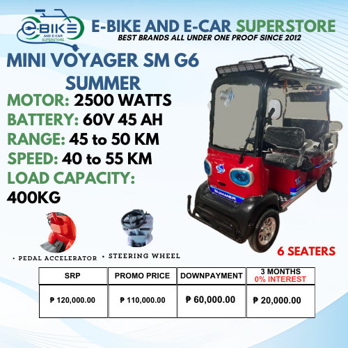 MINI VOYAGER G6 | EBIKE AND ECAR SUPERSTORE