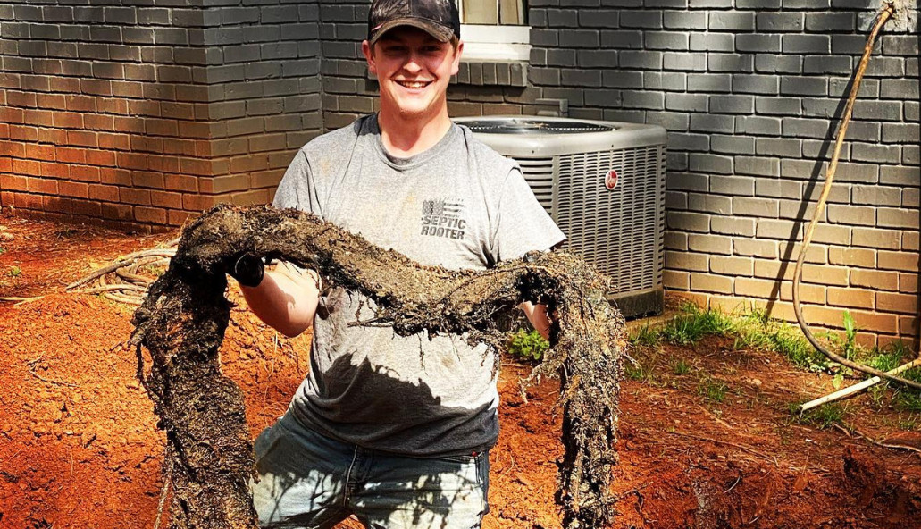 Roots Gone Wild: How Trees Can Wreak Havoc on Your Septic System