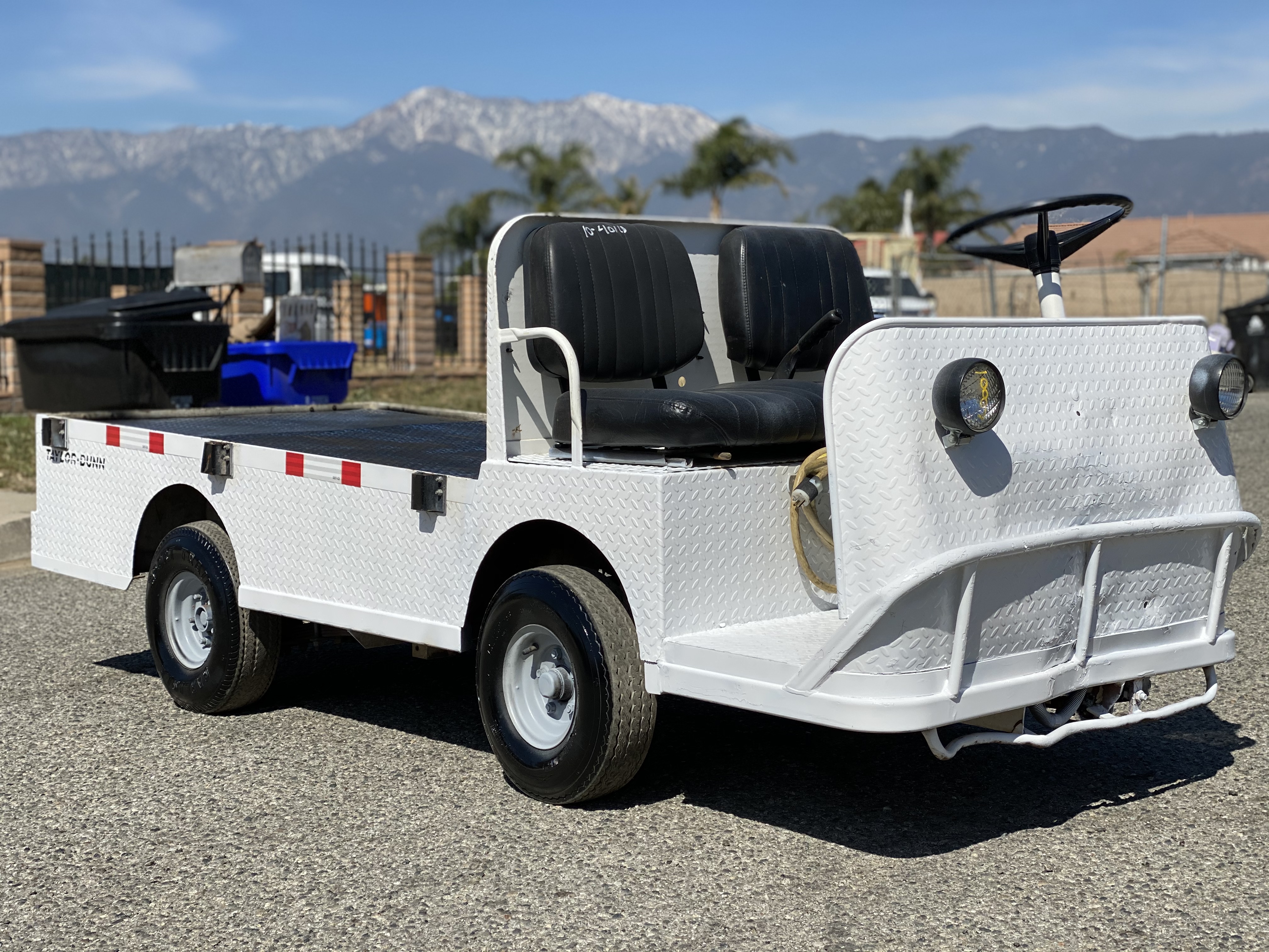 Taylor Dunn Burden Carrier | United States | B248 Taylor Dunn