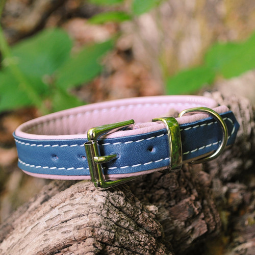 Double Softee Padded Collar: Denim on Blossom Pink | annrees
