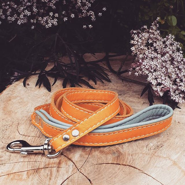 Double Softee Clip Leads | annrees