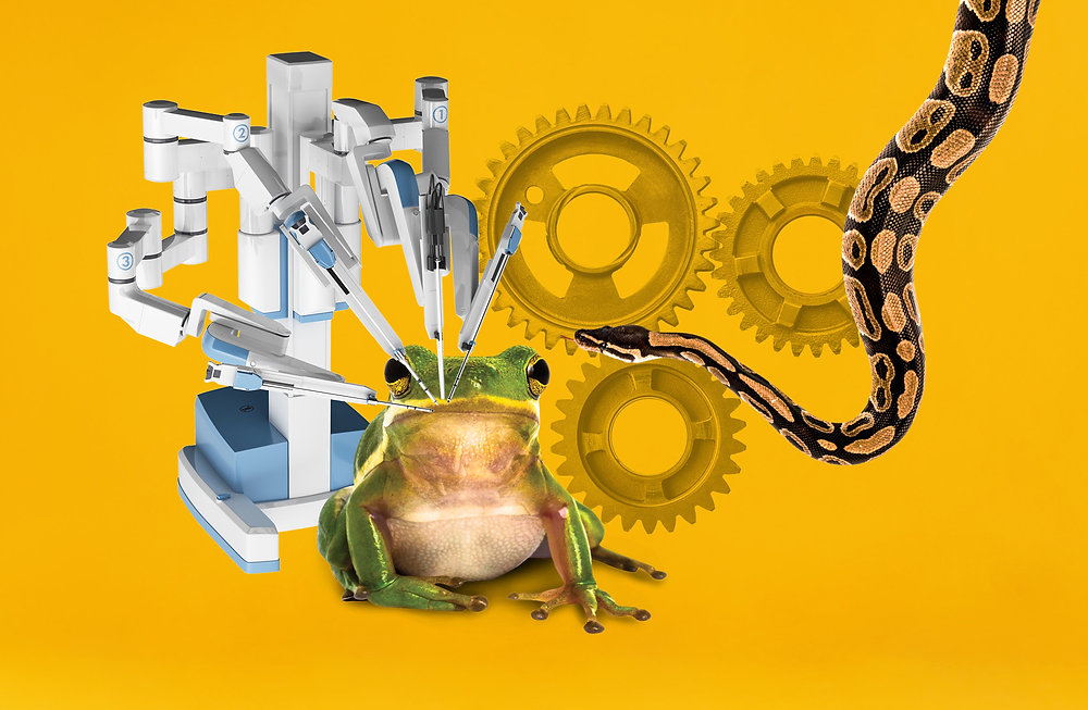 How ZooLab’s Animals Have Changed the World!