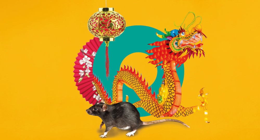 10 Fun Facts about Chinese Animals