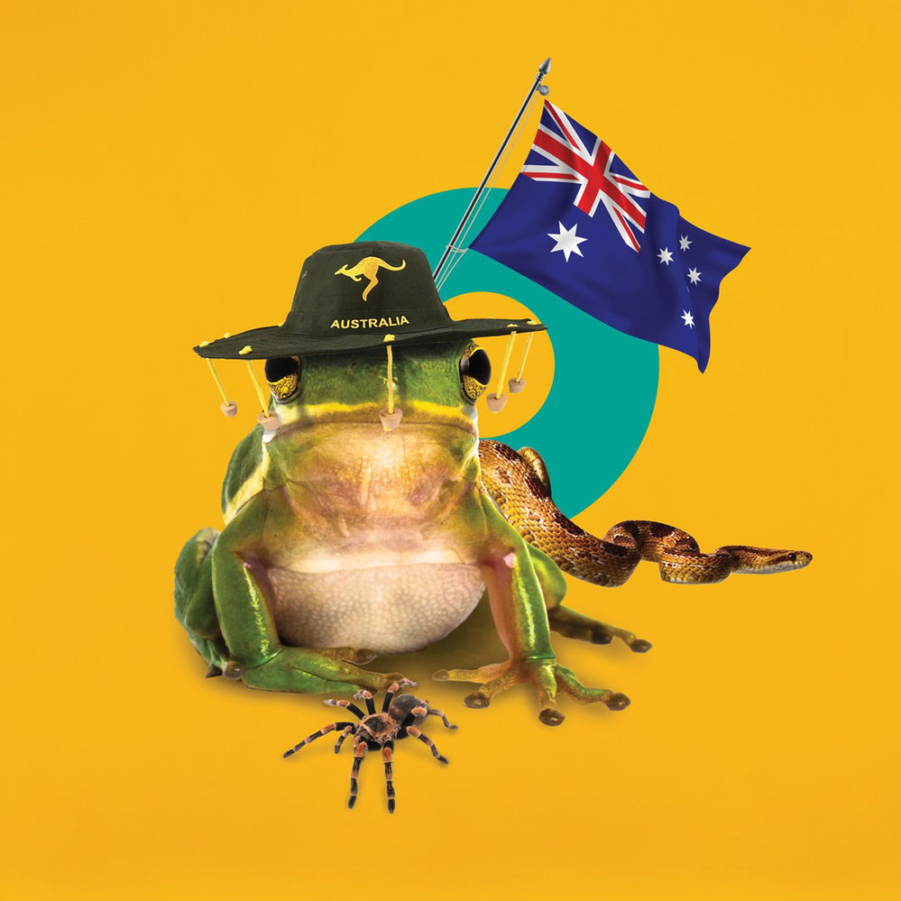 10 Fun Facts About Australian Animals 10-fun-facts-about-australian-animals