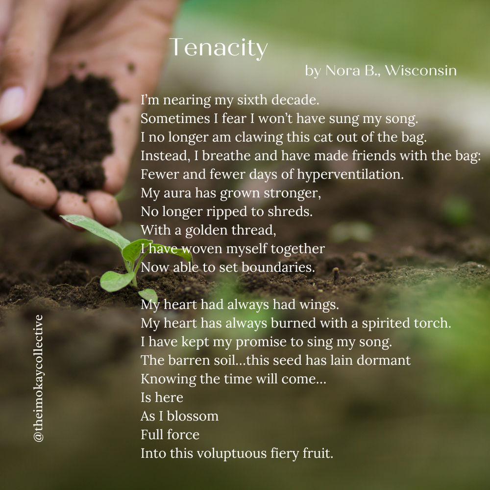 "Tenacity" poem by Nora B. in Wisconsin | I'm Okay Collective
