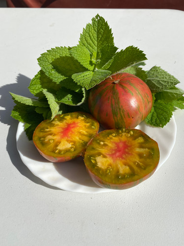 Dwarf Peppermint Stripes / Гном Мятные полосы, США | Lux Tomatoes