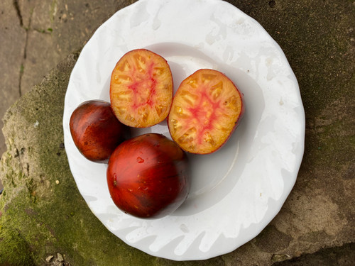 Solar Eclipse / Солнечное затмение | Lux Tomatoes