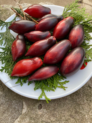 Slivka Gurman | Lux Tomatoes