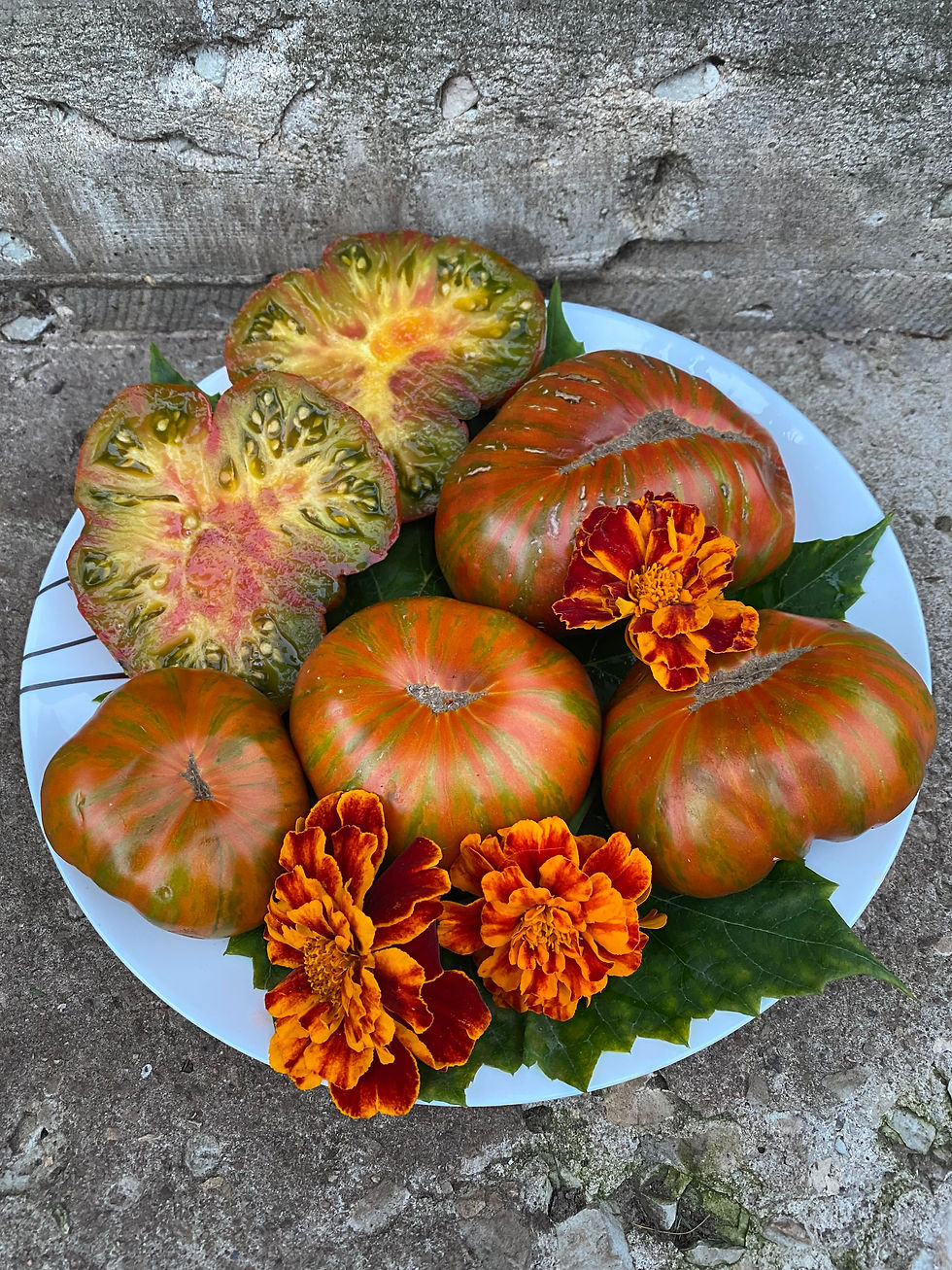 Каталог | Lux Tomatoes