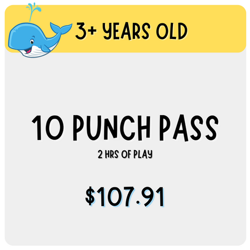 10 - Punch Pass 2 Hrs of Play 3+ Yr Old | Kidzone