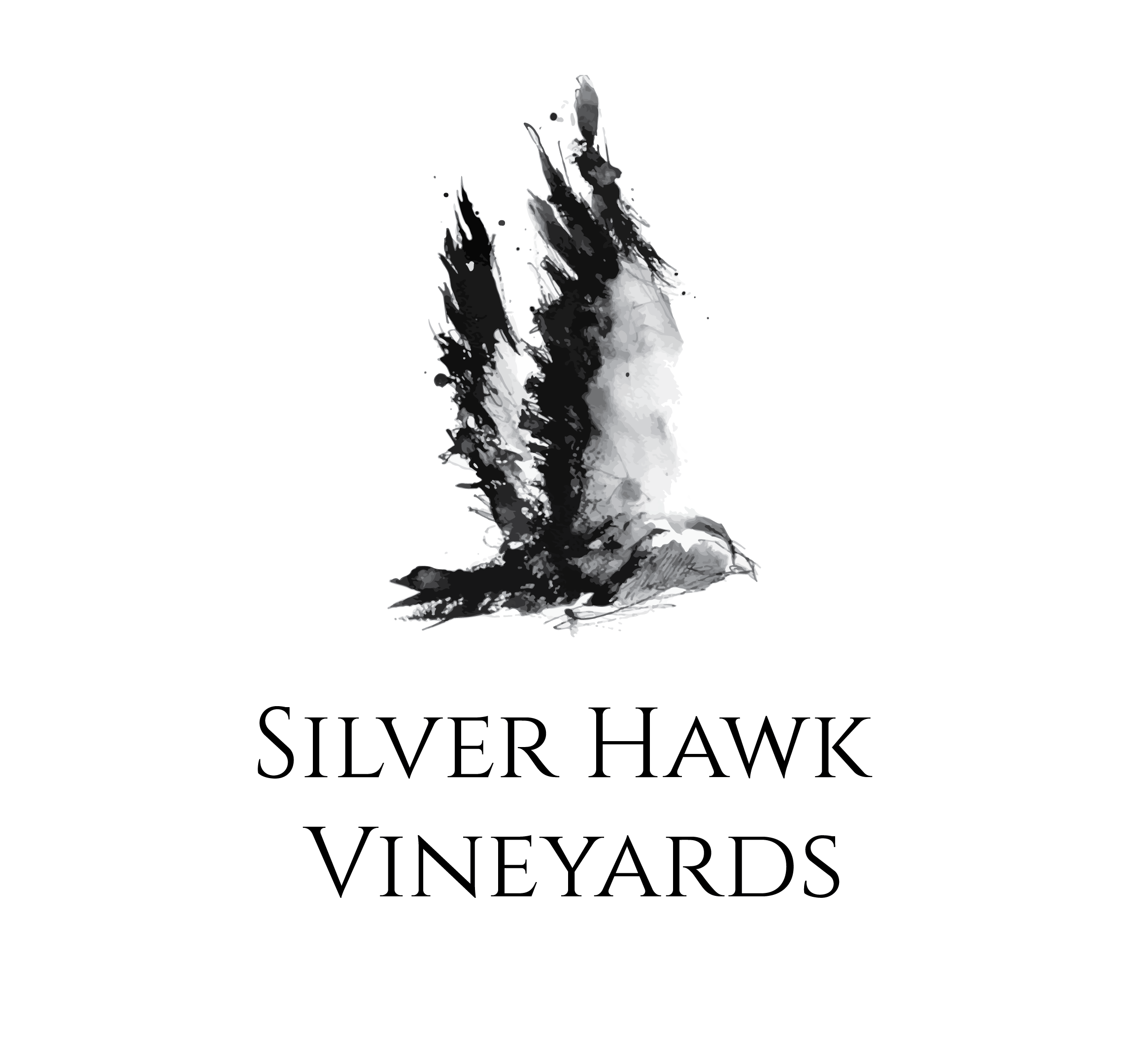 Silver Hawk Logo