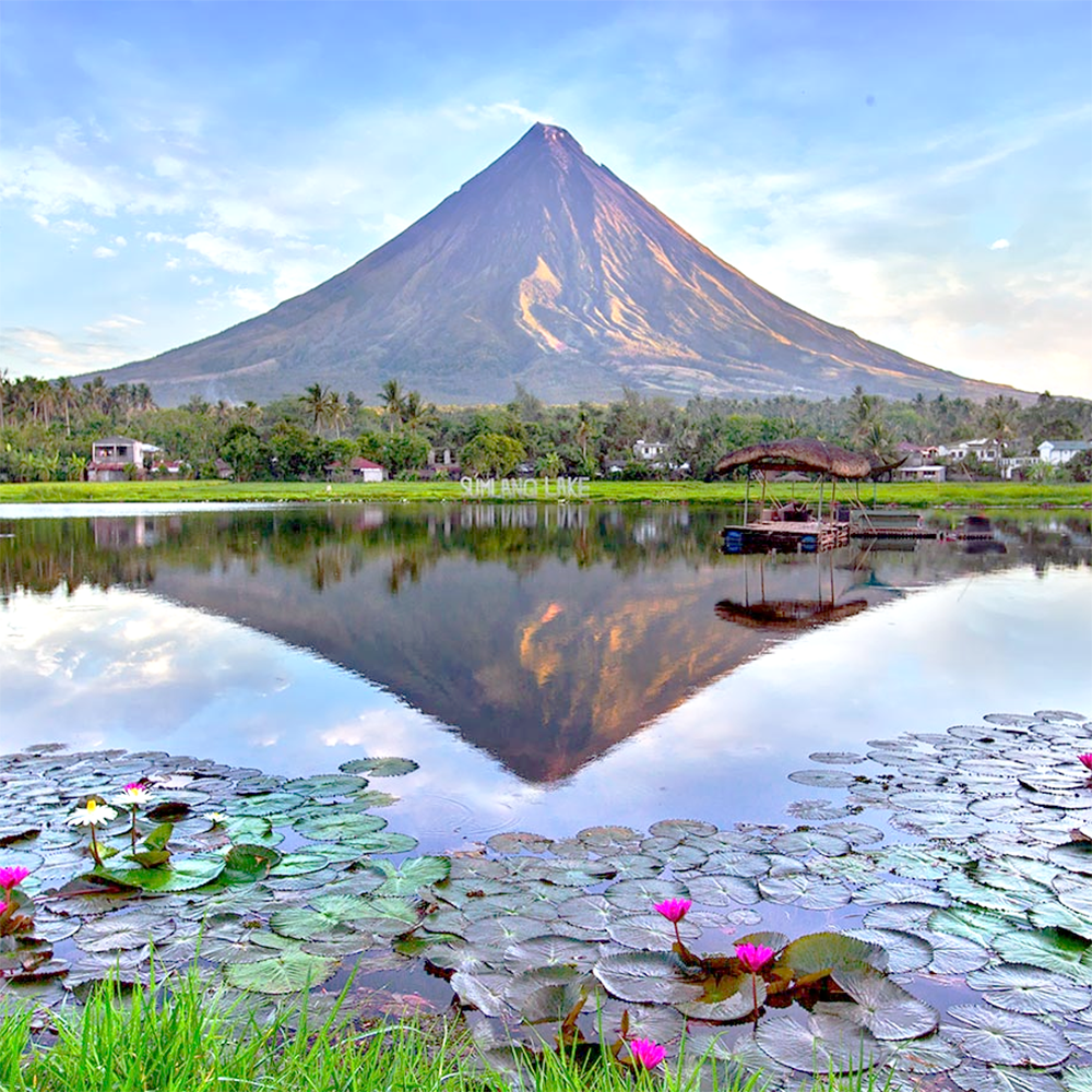 What is Pili Oil and What are the Benefits of Pili Oil