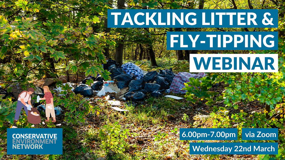 Tackling litter & fly-tipping • Webinar and Q&A | CEN