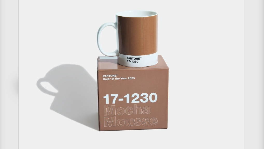 Pantone Color of the year 2025: A Palette that Shapes Creativity