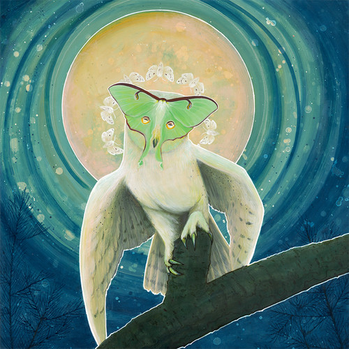 Moth Magic / Giclee Print 12x12 | brianna-reagan-art