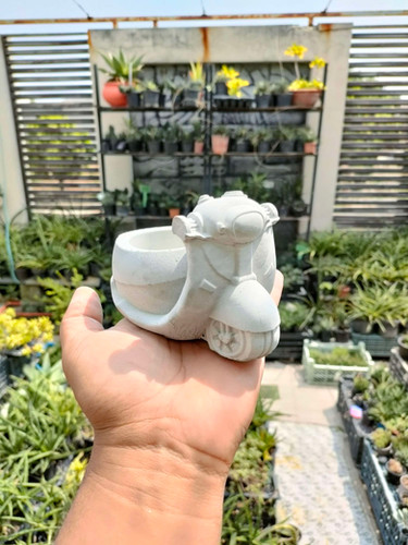 Scooter Planter D2 | succulentfairies