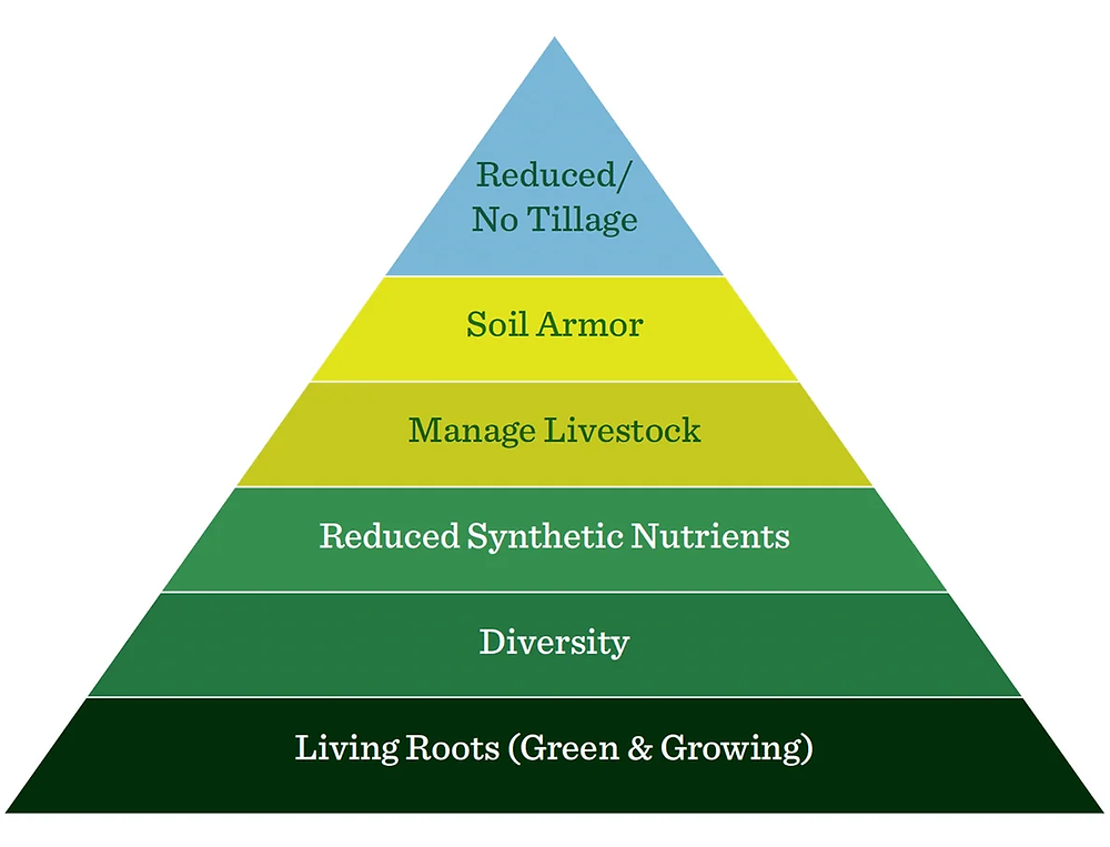 Regenerative Agriculture Soil Principles