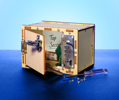 Make Your Own Wooden Safe | satzuma