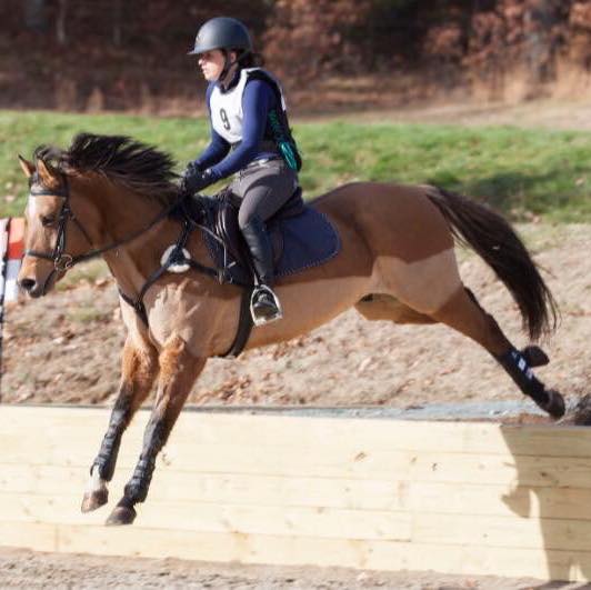 Training | JC EVENTING