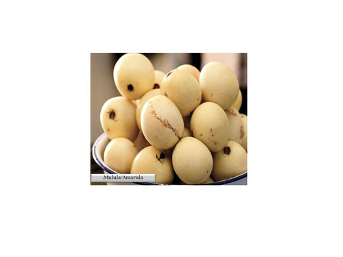 1KG Mulula Fruit | Our Honey