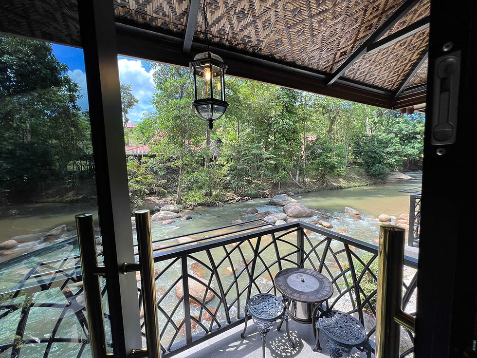 RUMAH KACA HELICORNIA | BONDA VALLEY