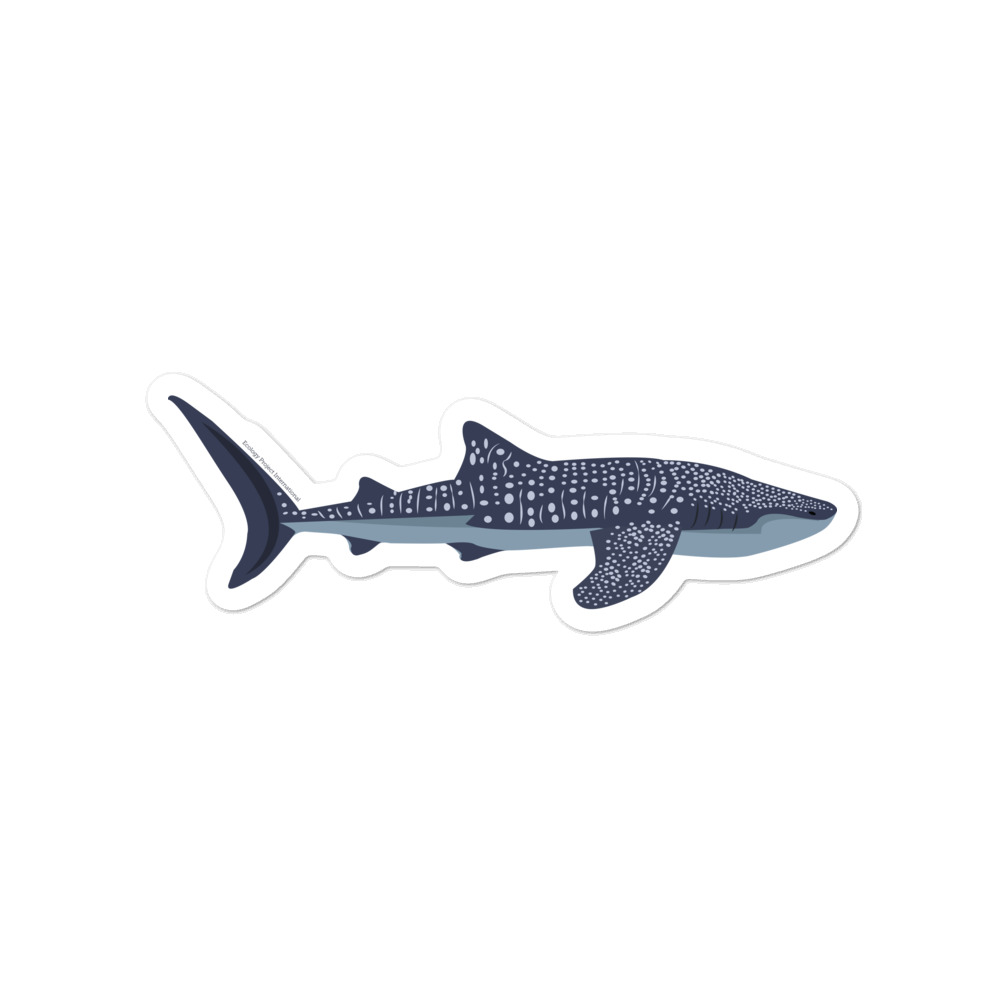 Sticker Whale Shark Paper & Party Supplies etna.com.pe