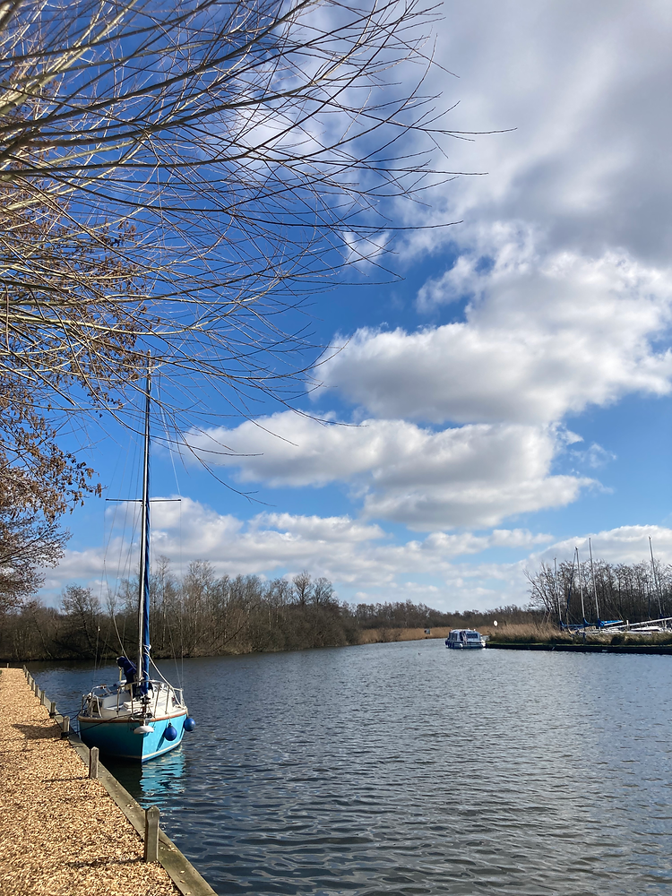 Explore the natural beauty of the Norfolk Broads: A travel guide