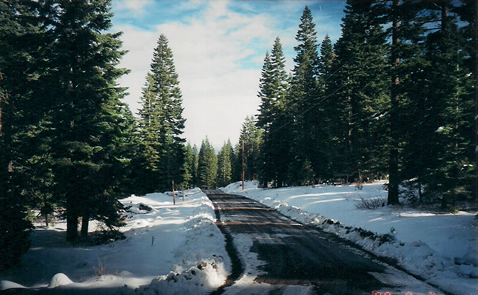 .92 Acres In Modoc County California - Cal Pines | Land Mule