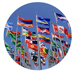 CSL Express Line | Logistics | Freight Forwarder