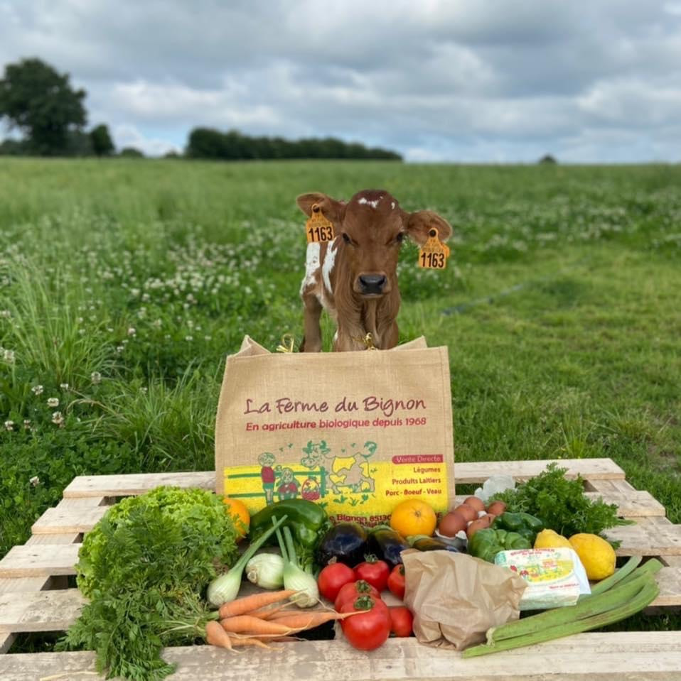 Guinguette | La Ferme du Bignon