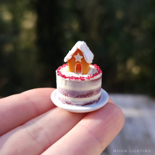 Gingerbread house on red velvet cake | Moon Lighting