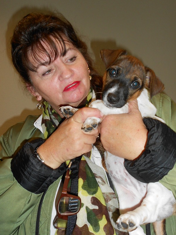 geboren in 2017 | dierenartsenugchelen