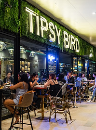 Tipsy Bird | Tipsy Collective