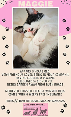 Adopt Me | Little Paws Rescue