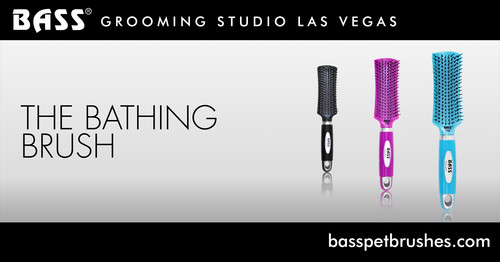 The Bathing Brush | Bass Brushes