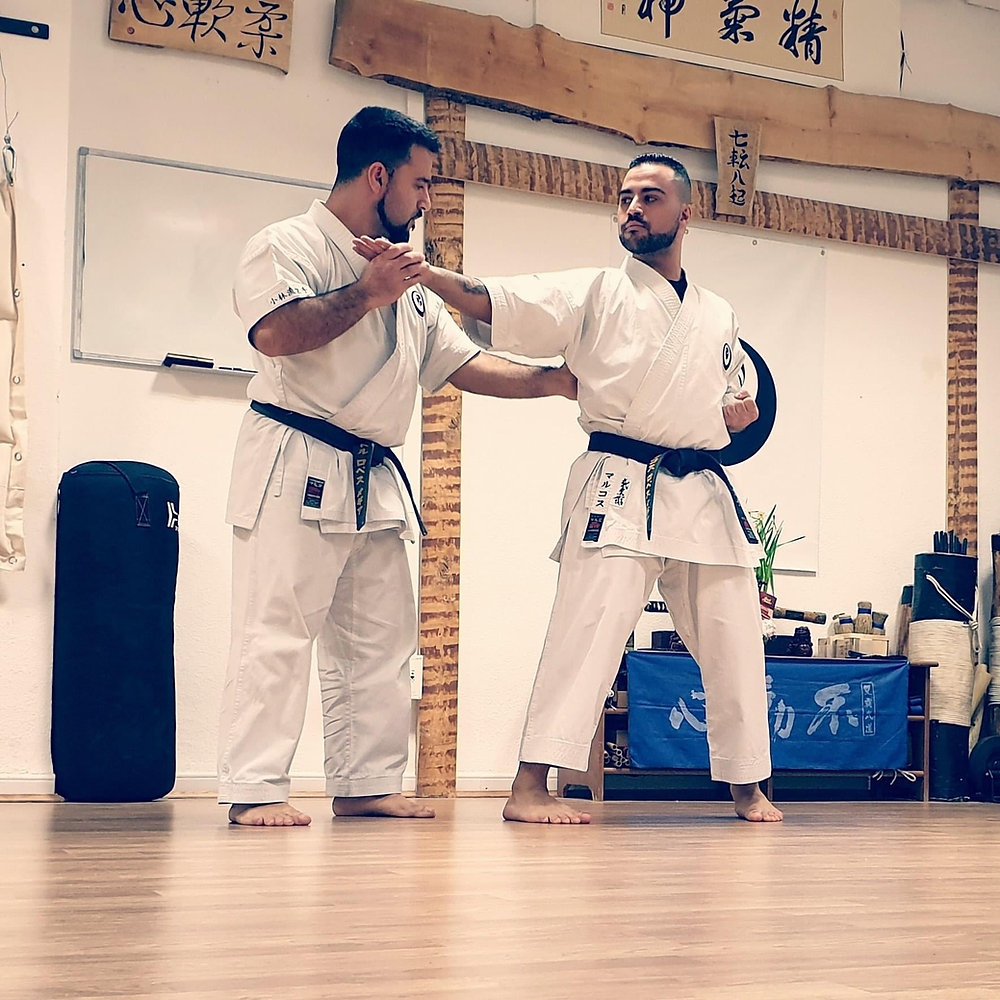 PARA EMPEZAR, BUSCA UN SENSEI.