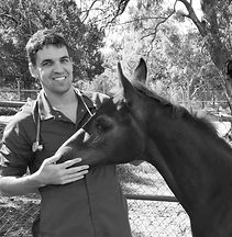 Our Team Necastle Cooks Hill Veterinary Clinic