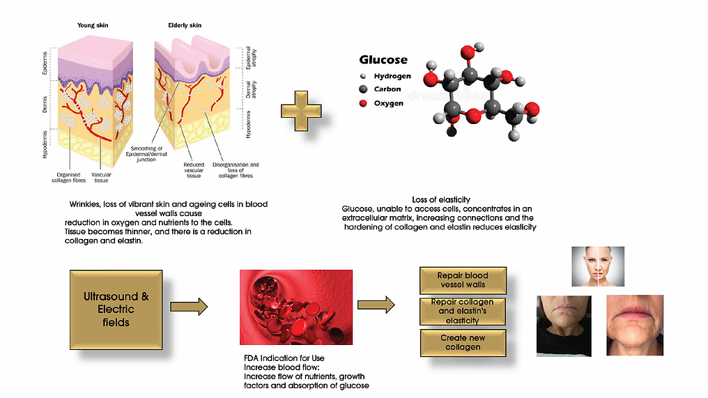 TECHNOLOGY | Cellsound